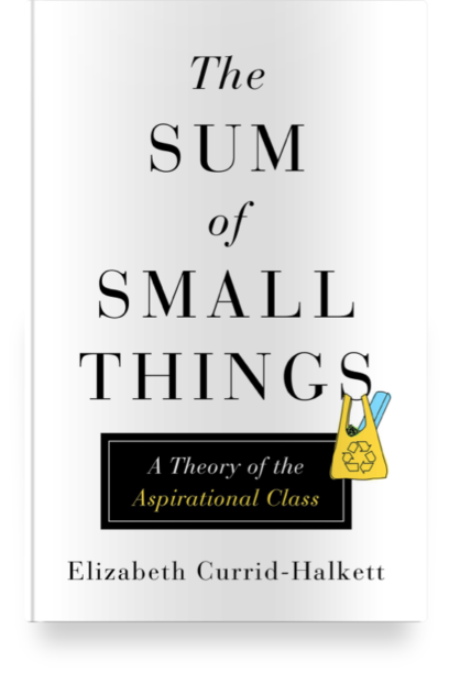 The Overlooked Americans - Elizabeth Currid-Halkett